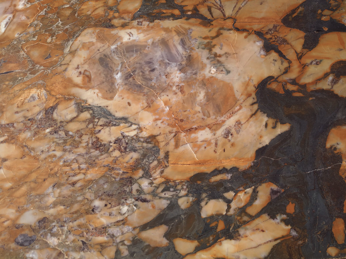 Breche de Vendome Breccia Multicolor France Luxury Marble Natural Stone ...